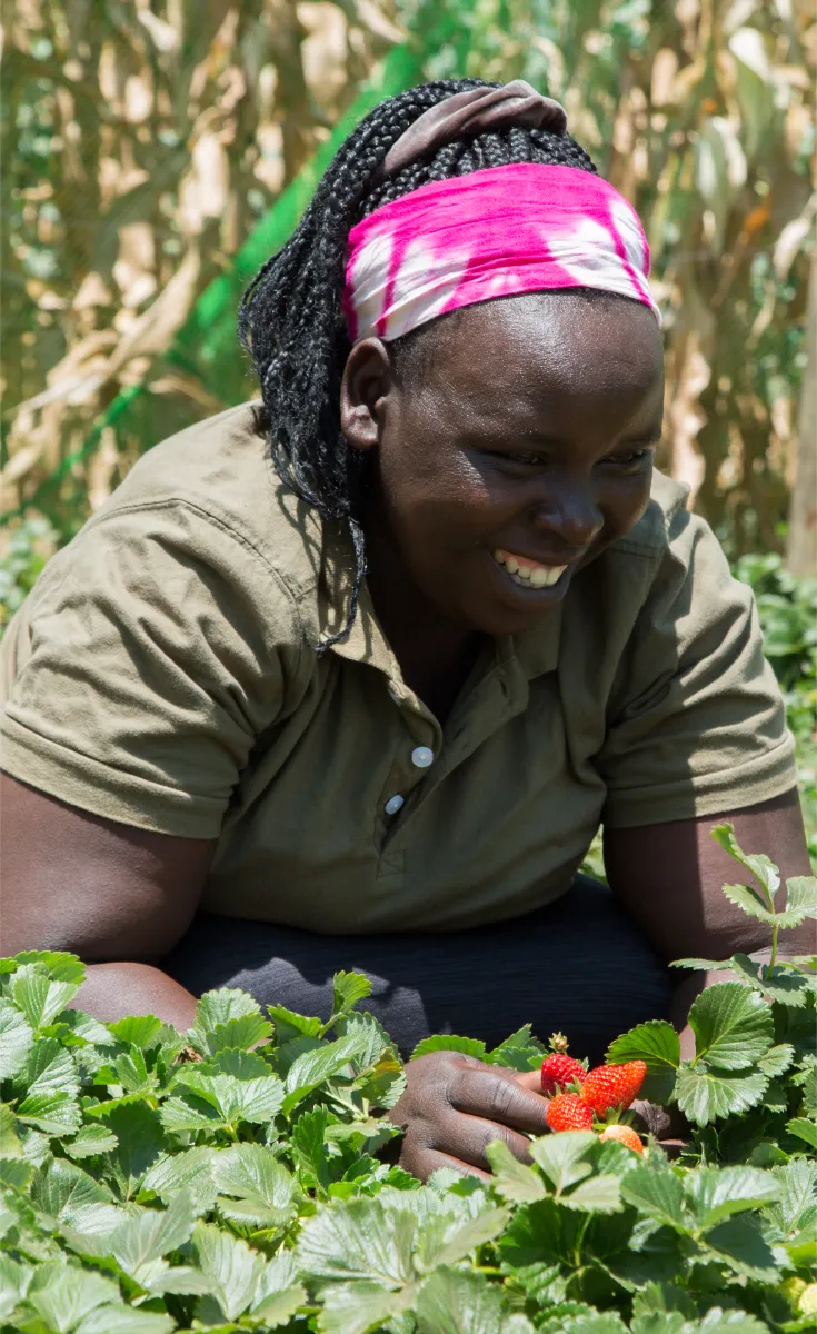 Impact - Success Stories - Jackline Mwangi | Irri-Hub
